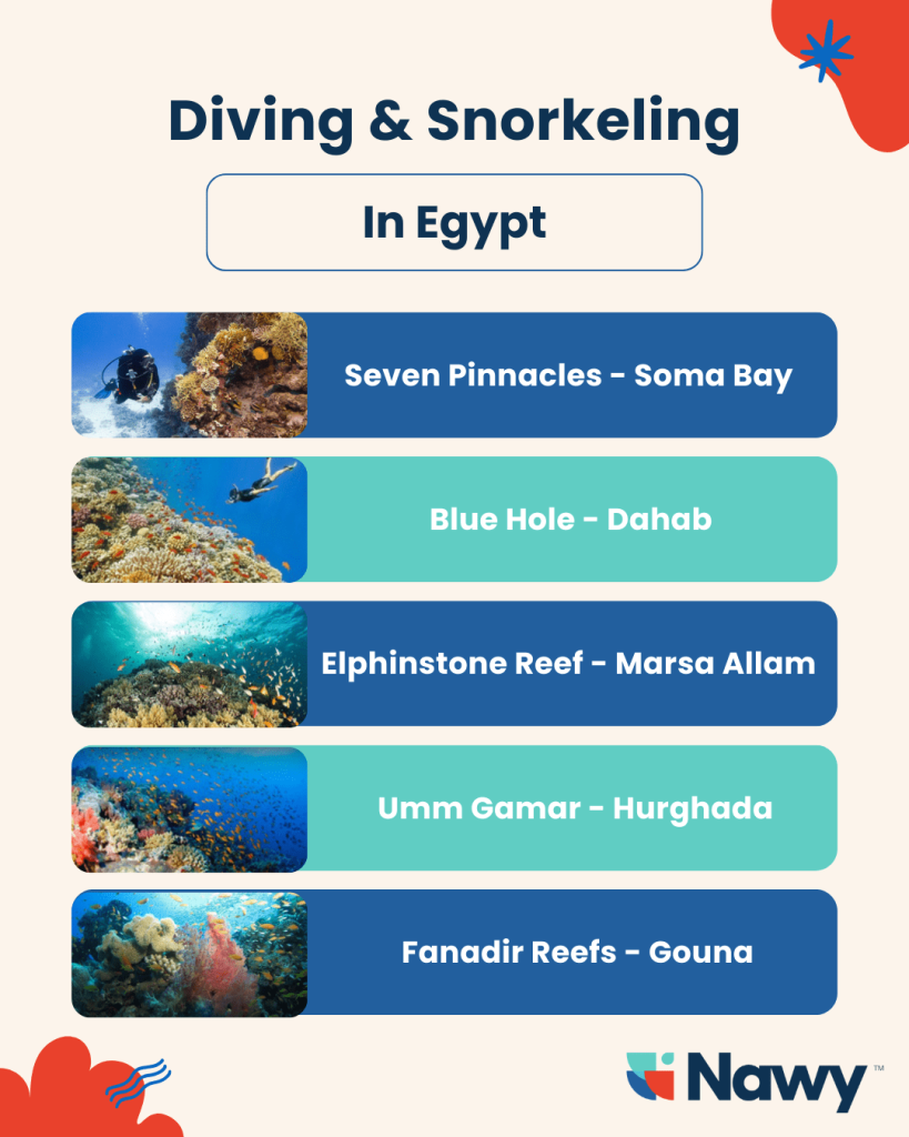 Snorkeling & Diving in Egypt: Best Spots - Nawy