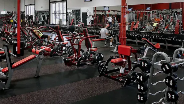 Best Gyms in Egypt: New Cairo, October, Sahel & More - Nawy